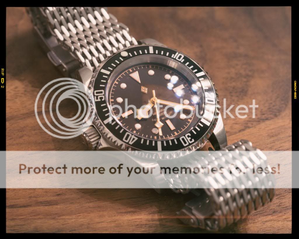 What if an Armida A9 and a Dagaz Black Bay had a child... that was left ...