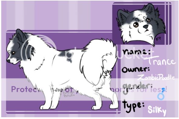 View topic - Pommie #58 - "Trance" - Chicken Smoothie